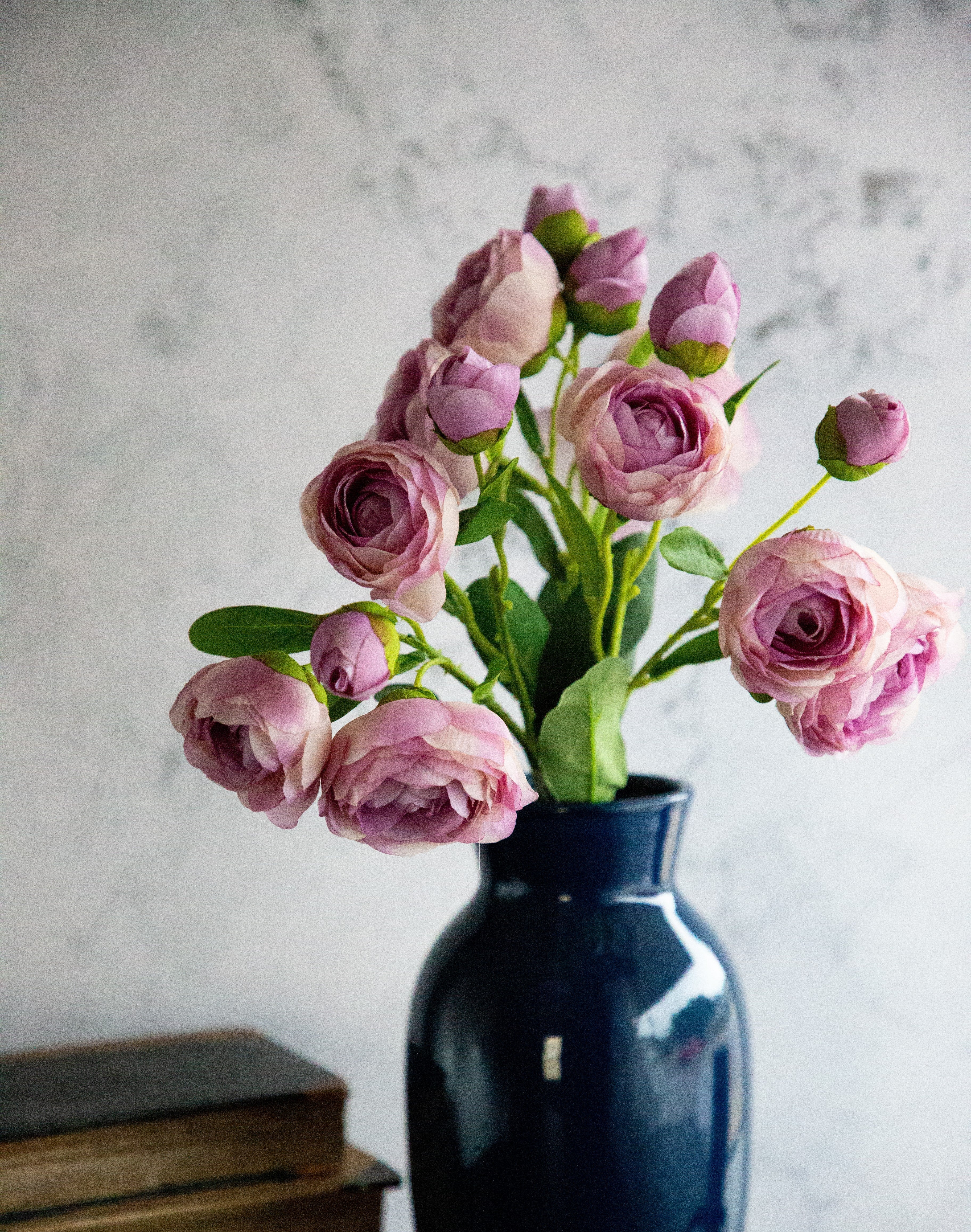 Flowers & Blooms – Poppi & Bo